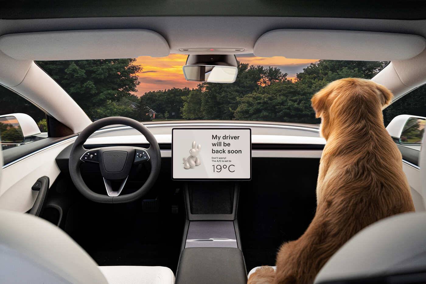Tesla model 3 cena store